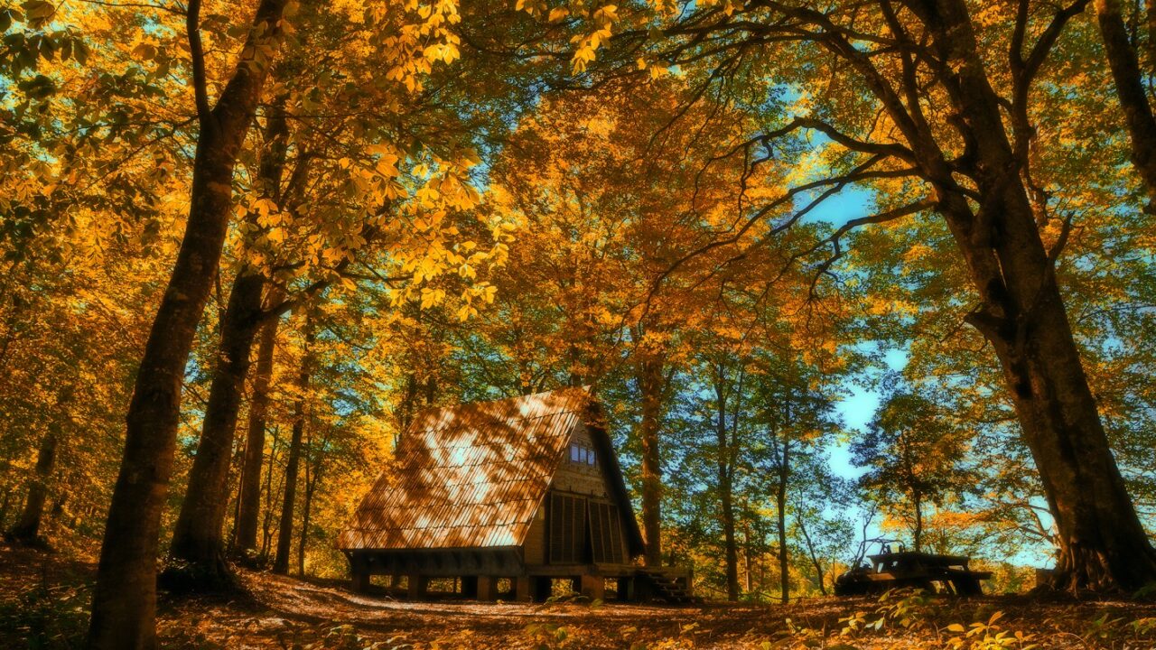 National Parks of Georgia - Visit Georgia | Tours in Georgia and the ...