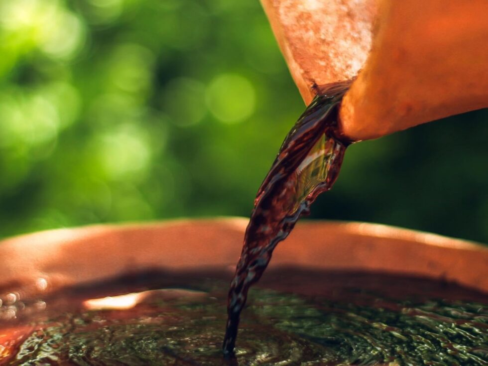 Georgian Wine Culture: Unique History, Regions, and Grapes - Visit ...
